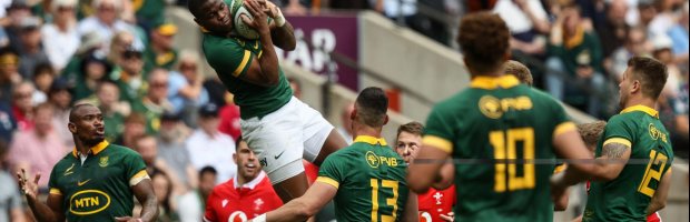 Springboks vs Wales: A look at the numbers | Ultimate Rugby Players ...