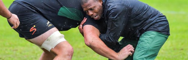 Baby Boks bring in Wandile Mlaba | Ultimate Rugby Players, News ...
