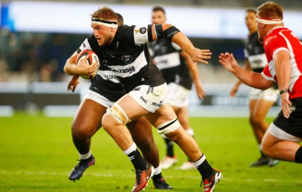 Hatton to lead sharks in third Currie Cup fixture | Ultimate Rugby ...