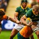 South Africa 7's - Squad | Ultimate Rugby Players, News, Fixtures and ...