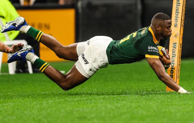 Springbok Squad Announcement: Winners and Losers | Ultimate Rugby ...