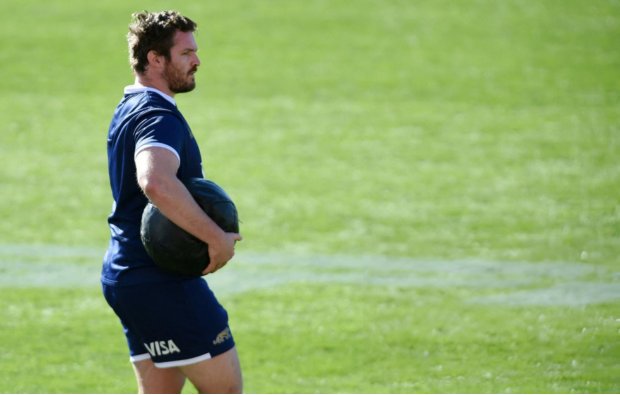 Montoya to earn 100th cap against Wallabies | Ultimate Rugby Players ...