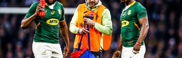 Felix Jones returns as Erasmus confirms Bok management team | Ultimate ...