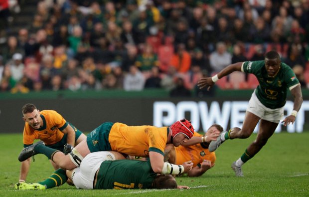 Springboks v Wallabies: Top Performers | Ultimate Rugby Players, News ...
