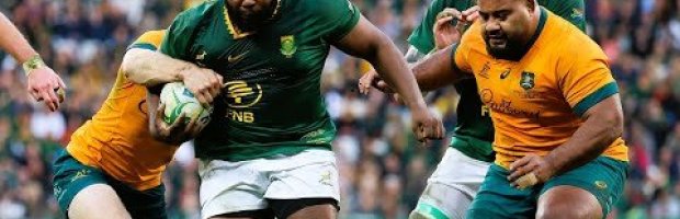 VIDEO HIGHLIGHTS: South Africa v Australia | Ultimate Rugby Players, News, Fixtures and Live Results