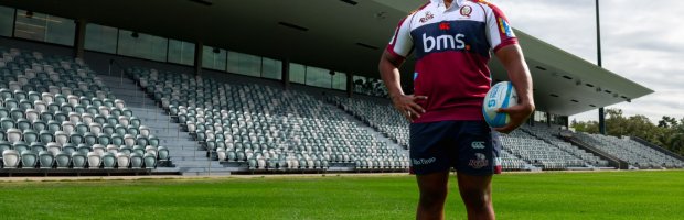 Trevor King Signs With Queensland Reds as Super Rugby AUS Squad ...