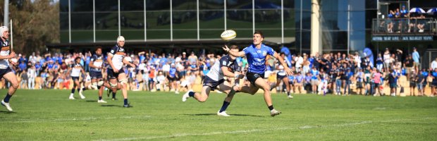 Super Rugby AUS: Five things we learnt from Western Force vs Brumbies ...