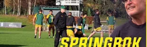 Springboks Training at Dublin ahead of Ireland Test | Springbok ...