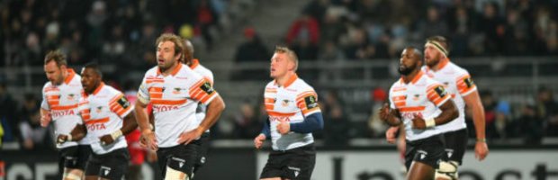 Toyota Cheetahs Set for an Exciting Northern Tour in the EPCR Challenge ...