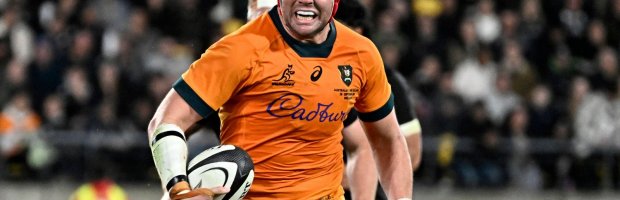 Australia's captain Harry Wilson and head coach Joe Schmidt react to ...