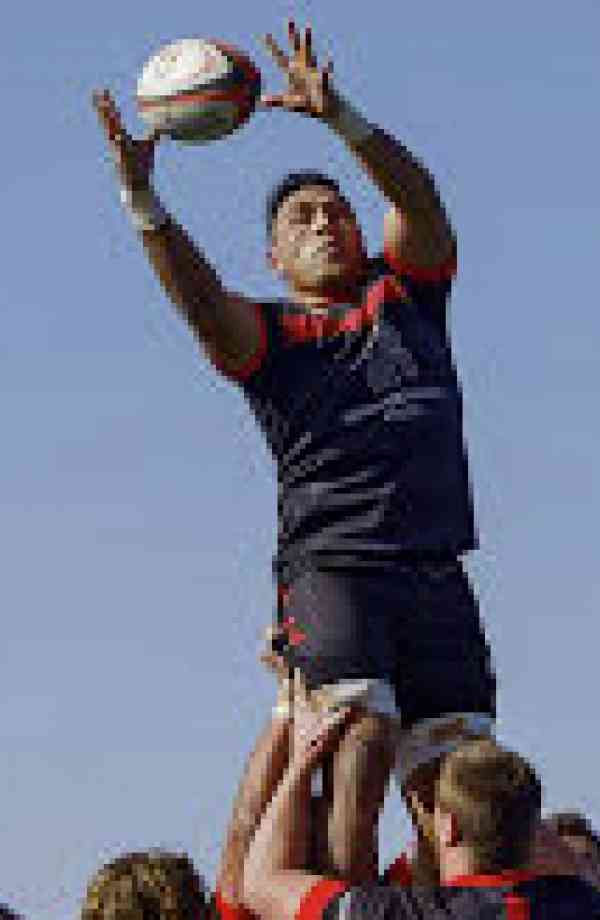 Kalisi Moli | Ultimate Rugby Players, News, Fixtures and Live Results